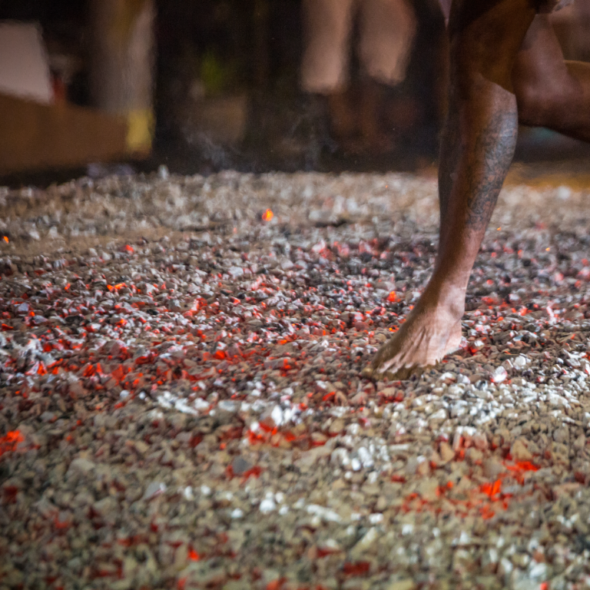 Traditional Fijian foods – the Fiji Plate! | FijiDream