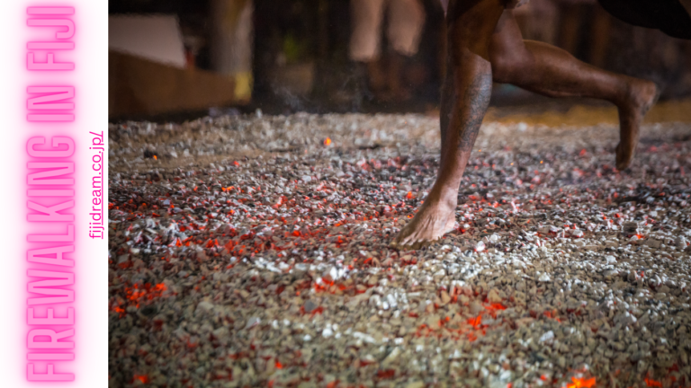 Best Fiji Resorts Island | Visit for Travel and Holiday | Fiji Dream